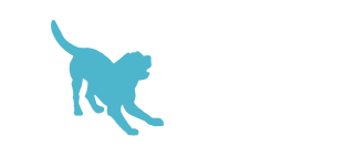 Simpatico K9 Training - Simpatico K9 Training